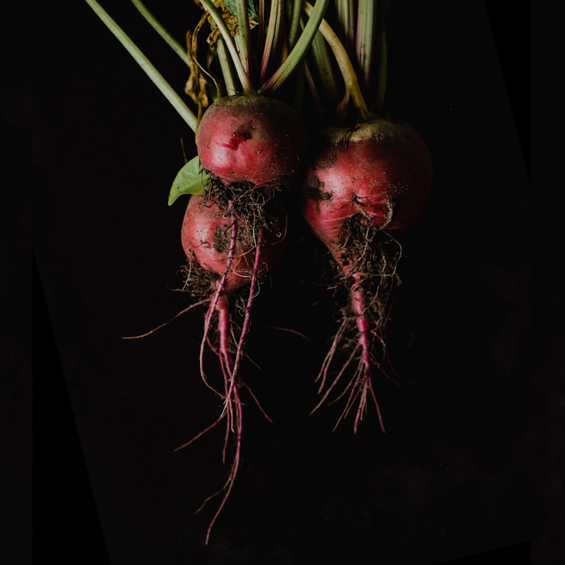 What are the benefits of betaine in cosmetics? – Grangettes Switzerland ...